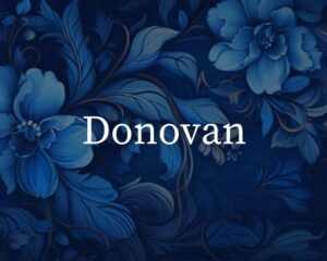 What Is The Spiritual Meaning Of The Name Donovan?